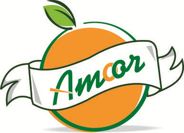 Cost Effective Logo Design Services in India